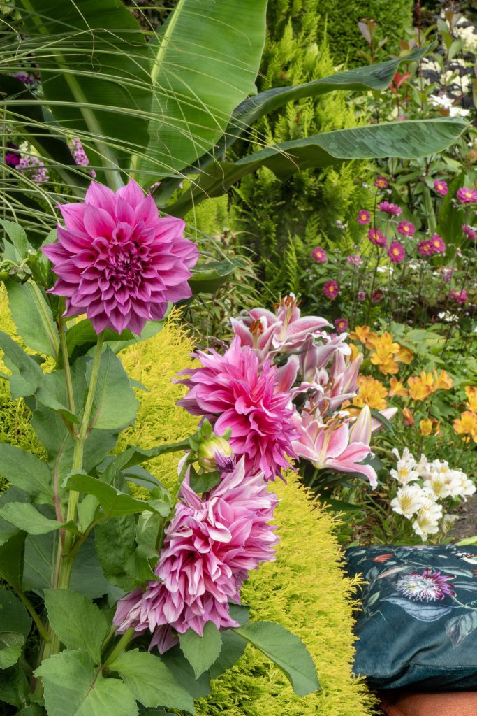 Garden trend 2025 - Unique Utopia - Summer - Flowerbulbs
